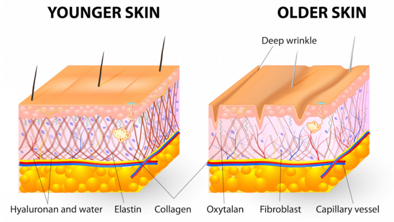 Aging Skin Treatments Singapore - IMAGO Aesthetic